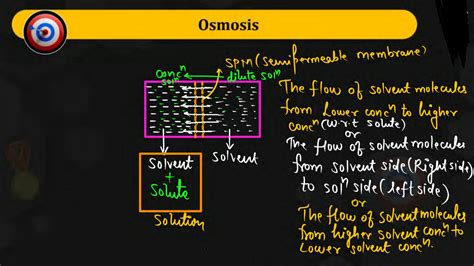 Solution Physical Chemistry Solution Colligative Properties Osmosis