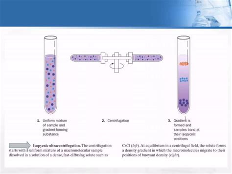 Density Gradient Centrifugation Pptx