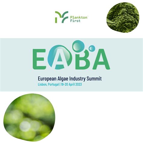 Phytoplankton Microalgae Togetherforabetterfuture Planktonfirst