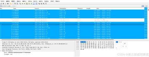 Python解析pcap文件（从原始数据出发） Csdn博客