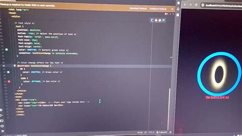 Software Developer Youtube