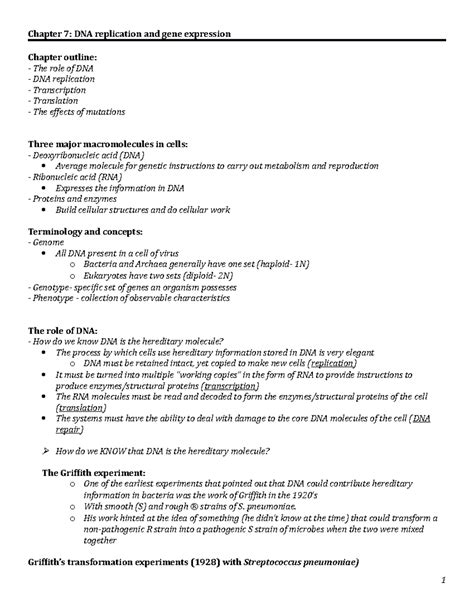 Mcb 2610 Gene Expression Chapter 7 DNA Replication And Gene Expression Chapter Outline The