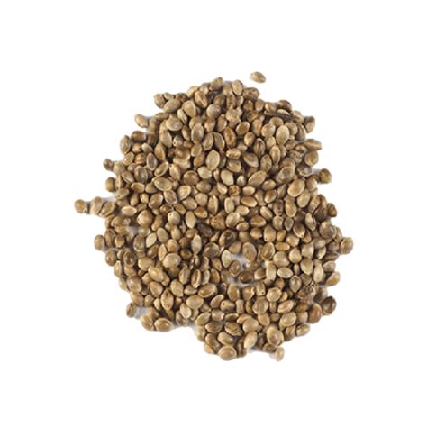 თესლები Greenlab Ge