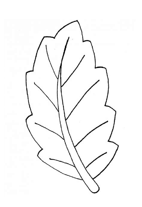 Как нарисовать листья основные техники мастер классы 40 фото идей с описанием