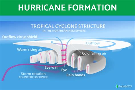 Tornado Vs Hurricane Differences Explained Formation And Destructiveness