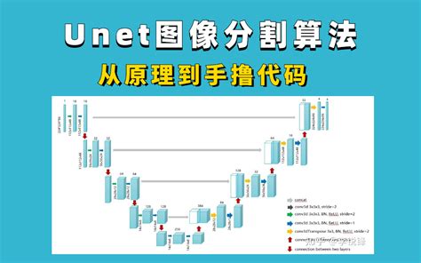 【unet图像分割算法硬核讲解】从原理到手撸代码！基于pytorch搭建自己的unet图像分割平台（深度学习 图像分割 语义分割 实例分割
