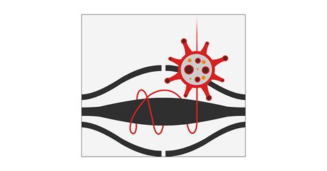 Open Science Resources For The Mass Spectrometry Based Analysis Of Sars