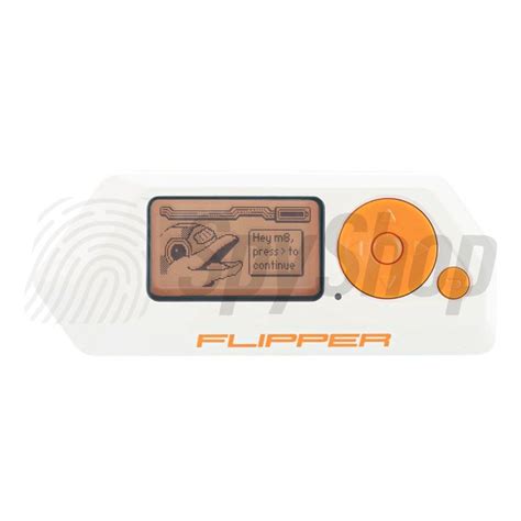 Flipper Zero Interact With Access Control Systems