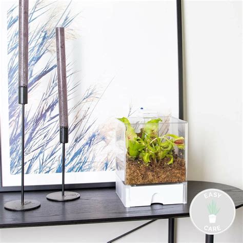 Een Mini Ecosysteem In Je Woning Het Perfecte Interieur