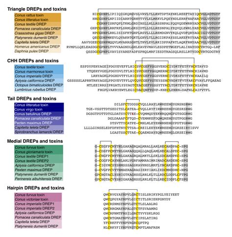 multiple sequence alignment of representative mature toxins and