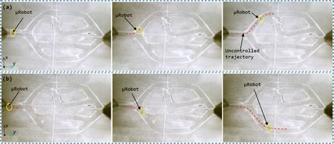 The Uncontrolled Trajectory Of The Microrobot In The Vascular Network Download Scientific