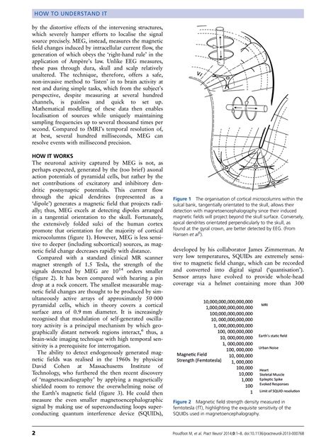 Magnetoencephalography Pdf Brain And Nervous System Disorders