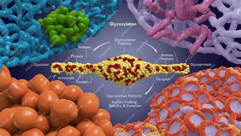 Detailed Illustration Of Cell Structures Highlighting Glycosylation Patterns Premium Ai