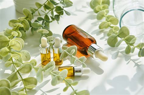 녹색 허브 잎을 가진 화장품 병 용기 포장 그림자와 빛 효과 유기농 브랜딩 모형 자연 스킨 케어 뷰티 제품 개념에 대 한 빈 라벨 0명에 대한 스톡 사진 및 기타 이미지