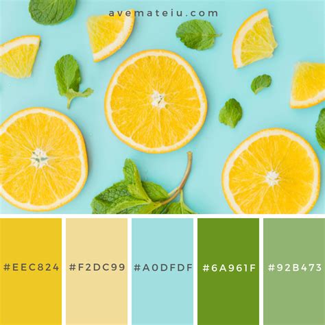 Sliced Orange And Mint Leaves Pattern Color Palette 270 Color