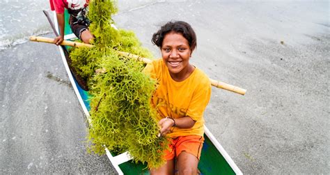 Legal Framework United Nations Development Programme