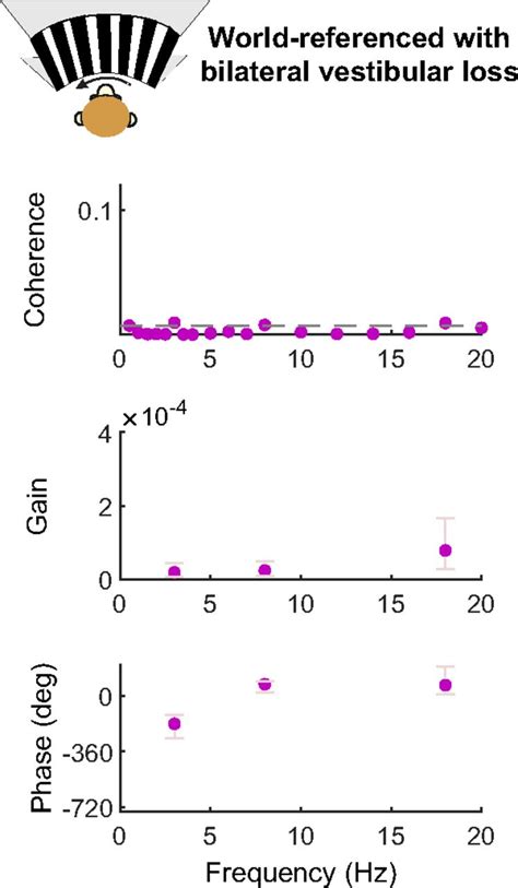 vestibular contributions to primate neck postural muscle activity during natural motion