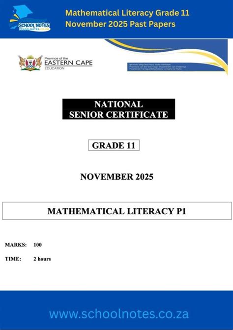 Mathematical Literacy Grade 11 November 2025 Past Papers School Notes