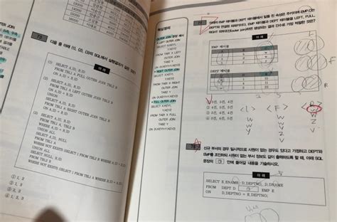 5일 만에 비전공자 Sqld개발자 자격증 취득 후기 공부방법 네이버 블로그