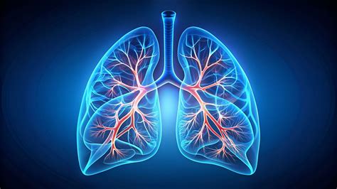 Um Nódulo Pulmonar Pode Desaparecer Sozinho Entenda