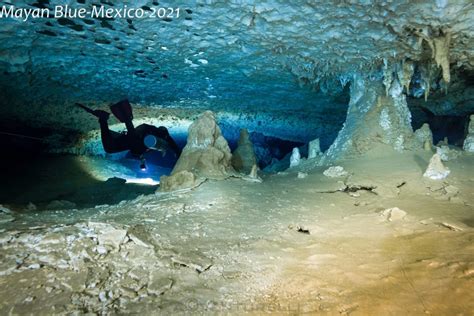 Intro Cave Diving Course In Playa Del Carmen Pluto Dive