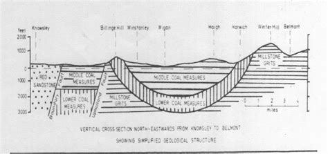 Diagram Of Three Sisters Crop