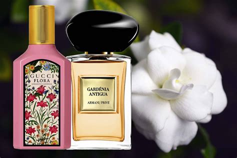 9 Best Gardenia Perfumes All Elegantly Floral Viora London
