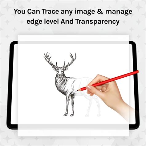 Draw Sketch And Trace Apk For Android Download