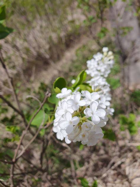 국립생태원에코리움 네이버 블로그