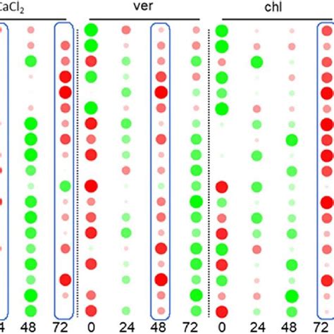 Mrna Expression Levels Of Gene Encoded Proteins In Rice Embryos During