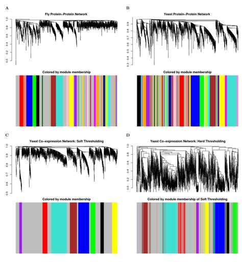 Hierarchical Clustering Dendrogram And Module Definition Download