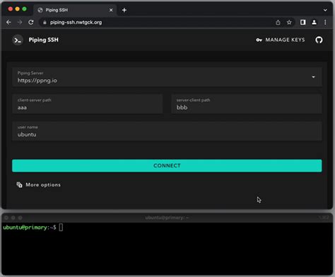Ssh Over In Go And Webassembly On Browser Rwebdev