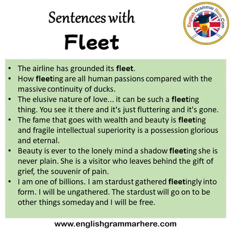 Sentences With Fleet Fleet In A Sentence In English Sentences For Fleet English Grammar Here