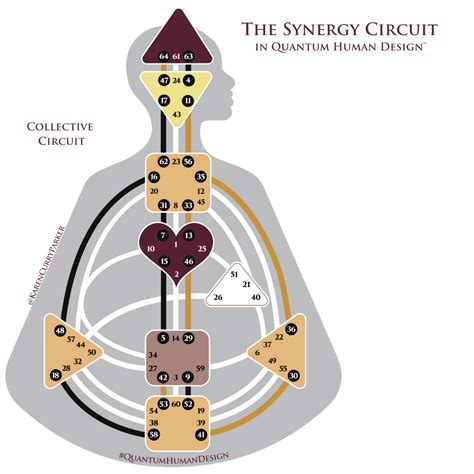 Human Design Circuits What Do They Mean