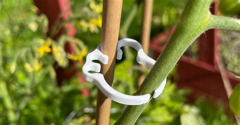 Branch Support X4 By Lfw Creations Download Free Stl Model