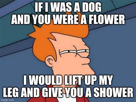 Futurama Fry Meme 