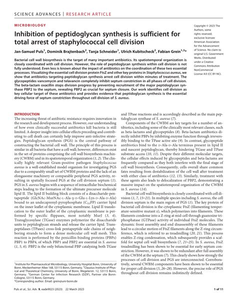 Pdf Inhibition Of Peptidoglycan Synthesis Is Sufficient For Total