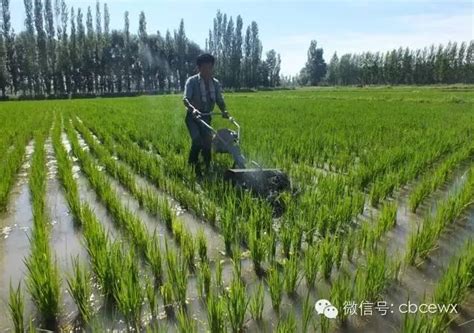 铁锹的正确用法，你造吗？ 每日头条