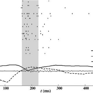 Sorted Single Unit Activities Of Individual Neurons Raster Plot Download Scientific Diagram
