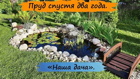 Дачный пруд спустя два года. - YouTube
