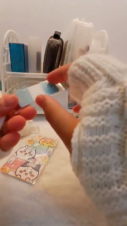 우리의 먼작귀 녀석들 포카포장 먼가작고귀여운 포포 Youtube