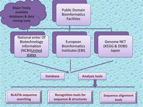 Bioinformatics Pptx