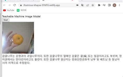 Teachablemachine을 활용한 과일도감 과일 등급 선정 Yunsejinraspberrypi Github Wiki