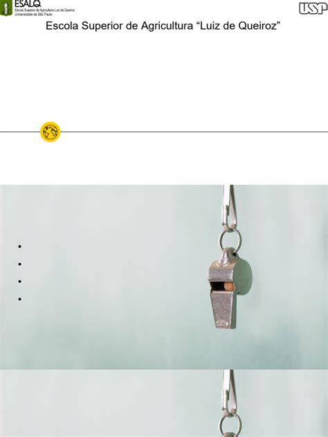 Aula 13 Mnt Prática Pdf