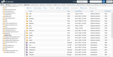 Bione Business Consulting Laravel Script With Live Editor Cms