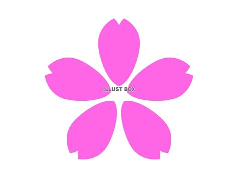 無料イラスト 桜の花（透過png）のアイコン素材