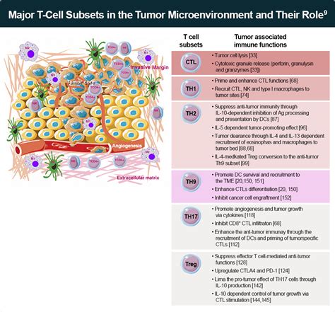 Understanding CSCC Catalyst Regeneron