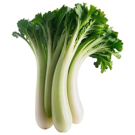 Celery Png Images 100