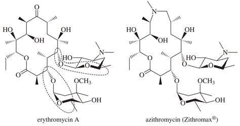 Macrolide Antibiotics All Have Large Rings Macrocycle In Which