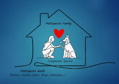 Niloofar Solhjoo On Linkedin The Emotional And Informational Lives Of